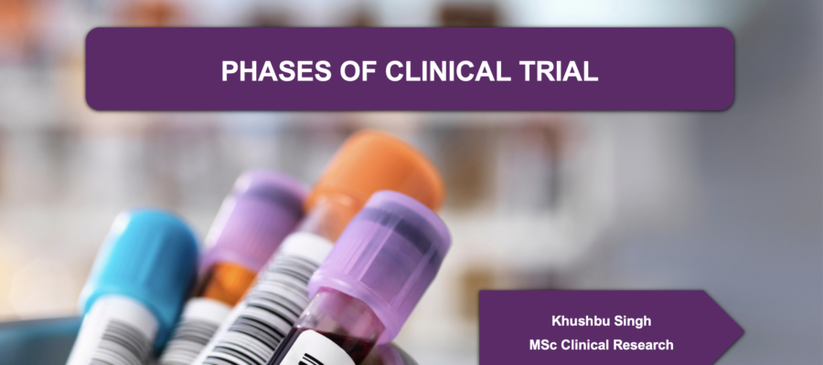 The Life Cycle of Bacteria: A Step-by-Step Guide