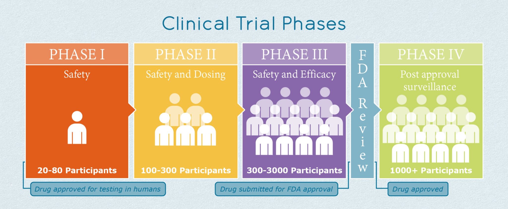 Phases of Clinical Trial